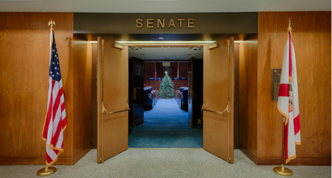 Florida Senate Looks to Revise Its Controversial School Guardian Law ...